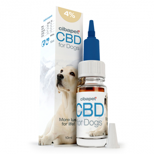 CBD Oil 4% For Dogs