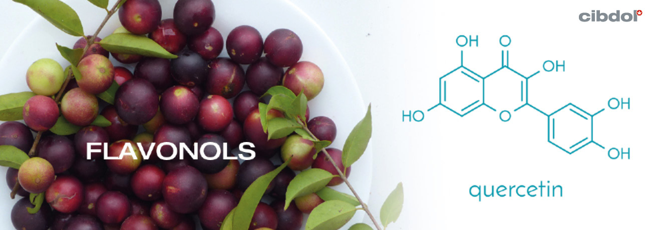 ¿Qué son los flavonoles? - Cibdol