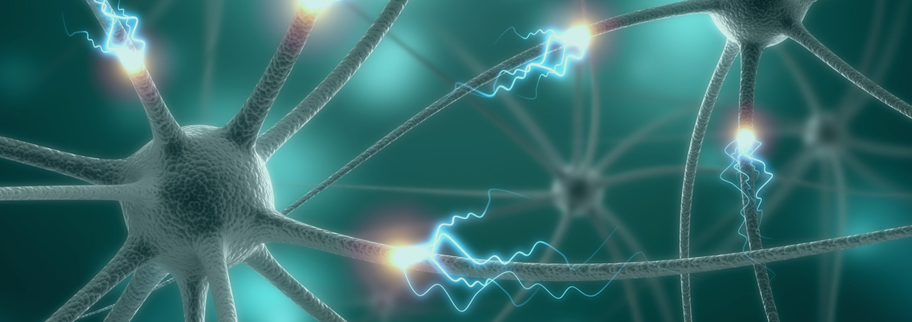 What Is Clinical Endocannabinoid Deficiency (CECD)? - Cibdol